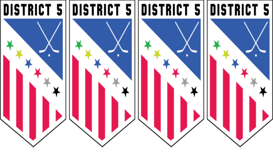 Logo Banner – District Five Hockey